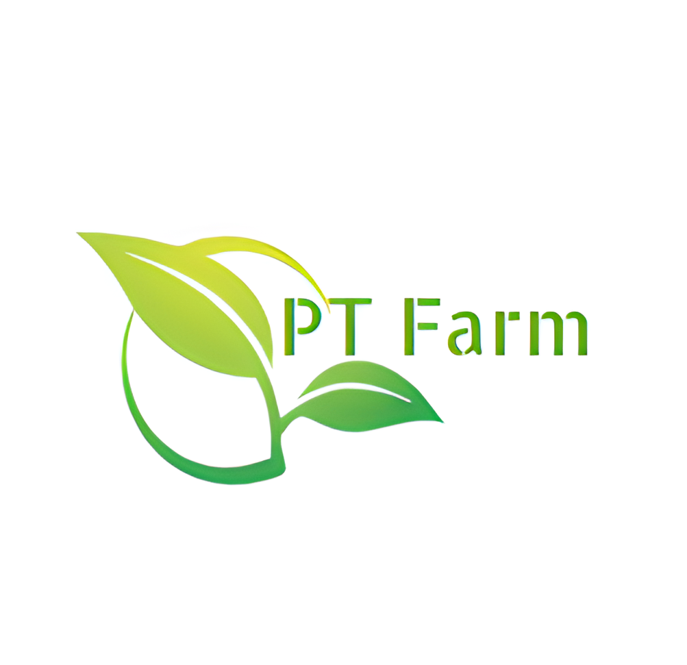PT Farm - Hạt Giống Chất Lượng, Cửa hàng trực tuyến | Shopee Việt Nam
