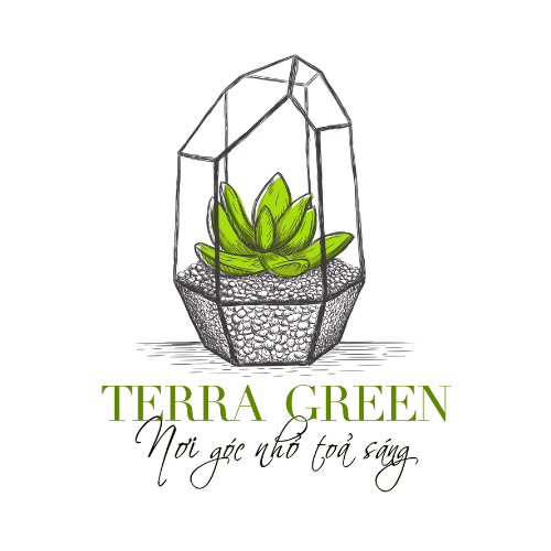 Tera Green, Cửa hàng trực tuyến | Shopee Việt Nam