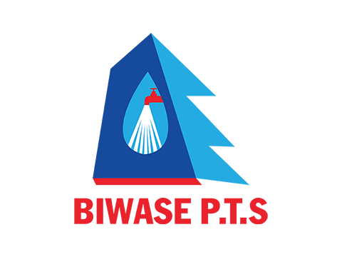 BIWASE-ION GOLD - Shopee Mall Online | Shopee Việt Nam