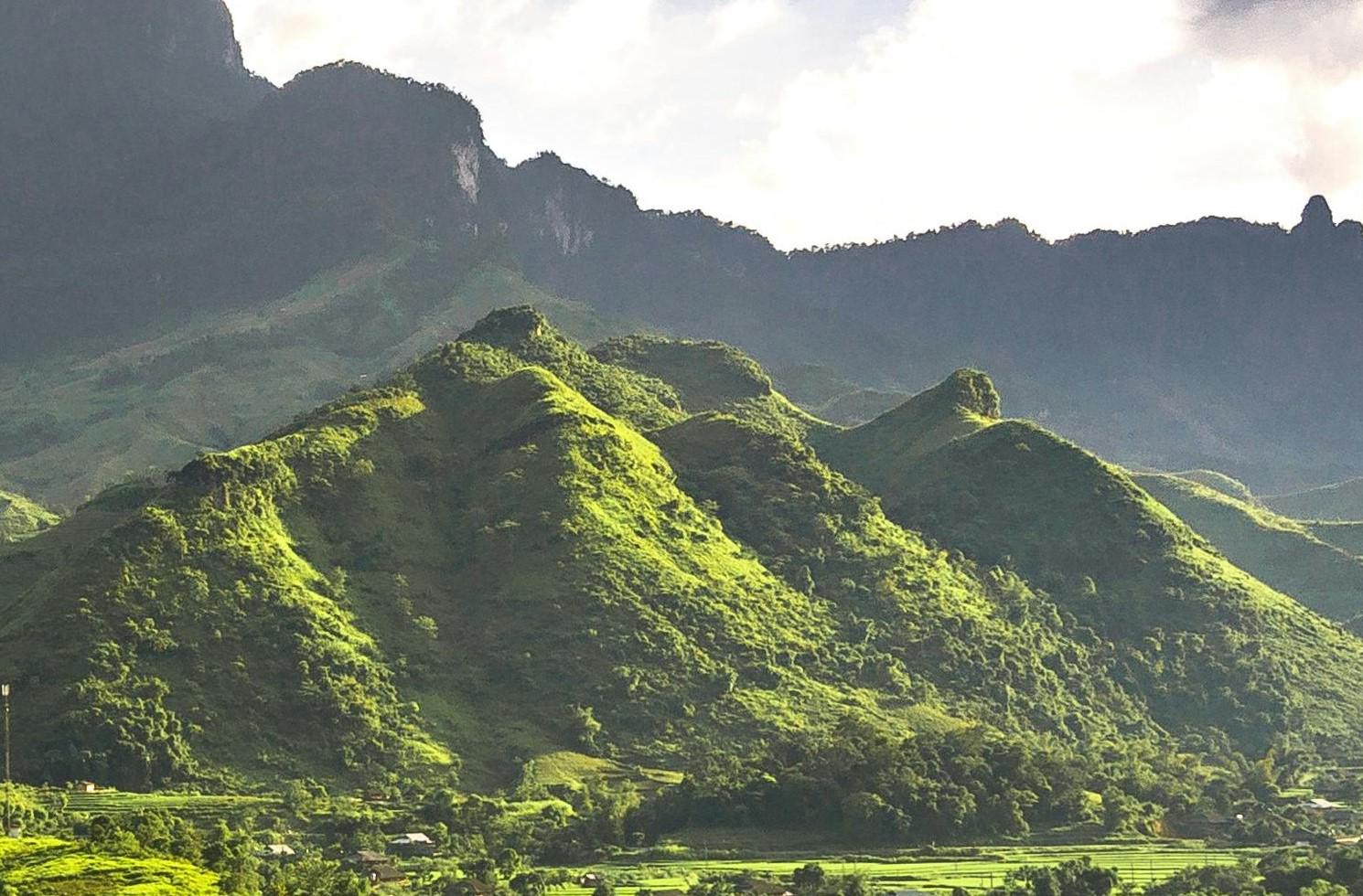 Tân Loan Foods, Cửa hàng trực tuyến | Shopee Việt Nam