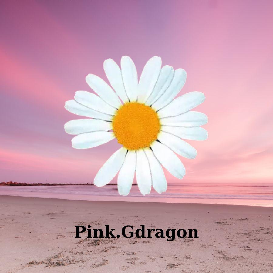 Pink.Gdragon, Cửa hàng trực tuyến | Shopee Việt Nam