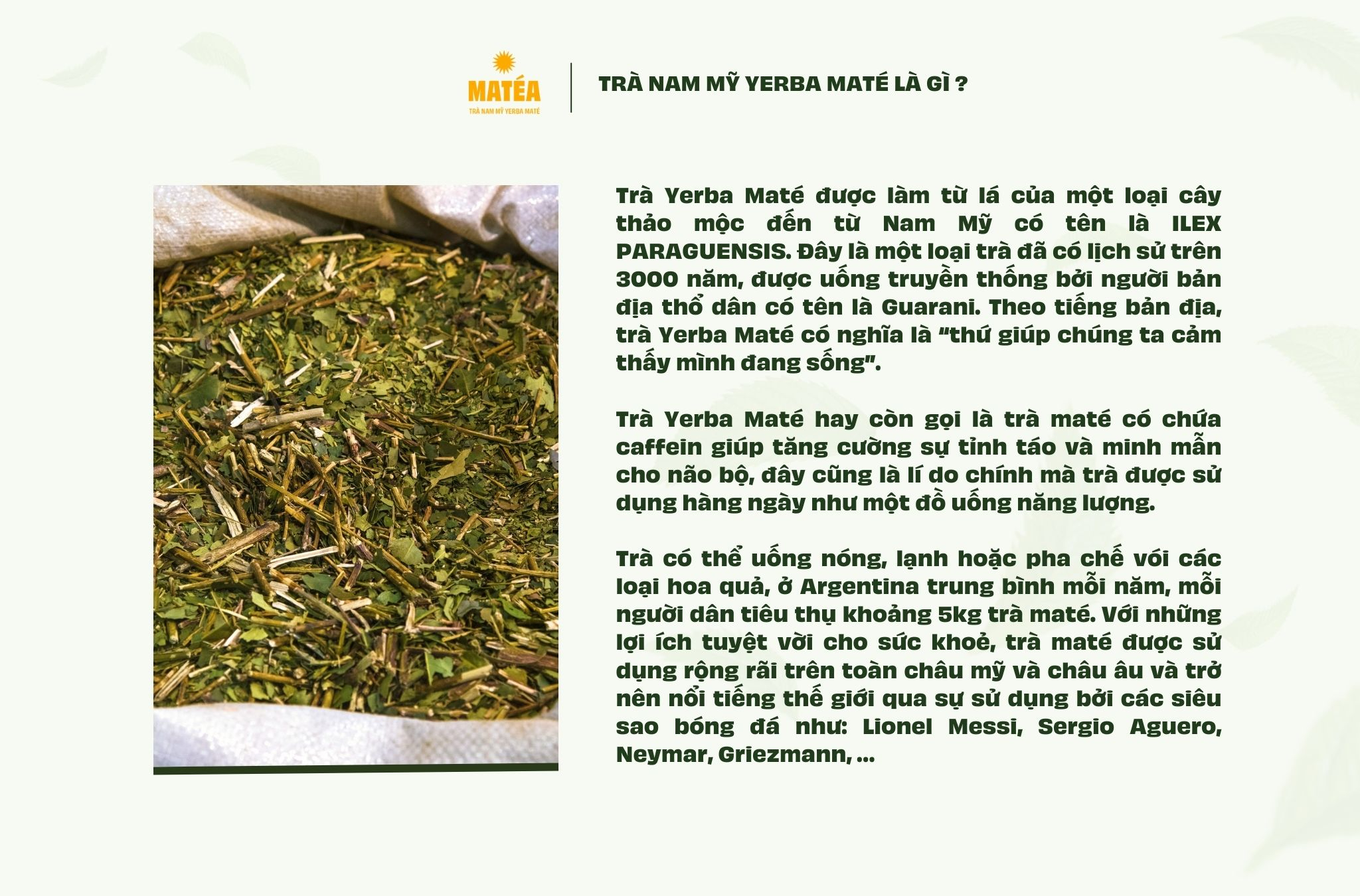 Matéa - Trà Nam Mỹ Yerba Maté - Shopee Mall Online | Shopee Việt Nam