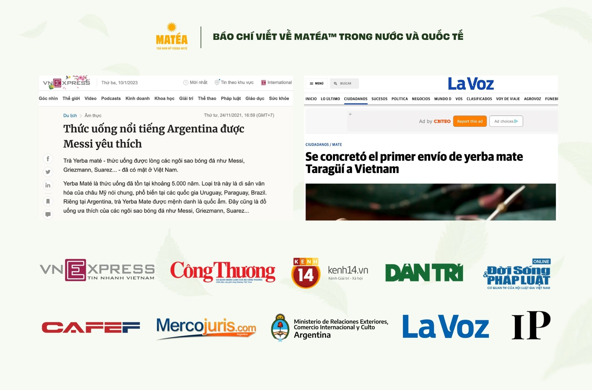 Matéa - Trà Nam Mỹ Yerba Maté - Shopee Mall Online | Shopee Việt Nam