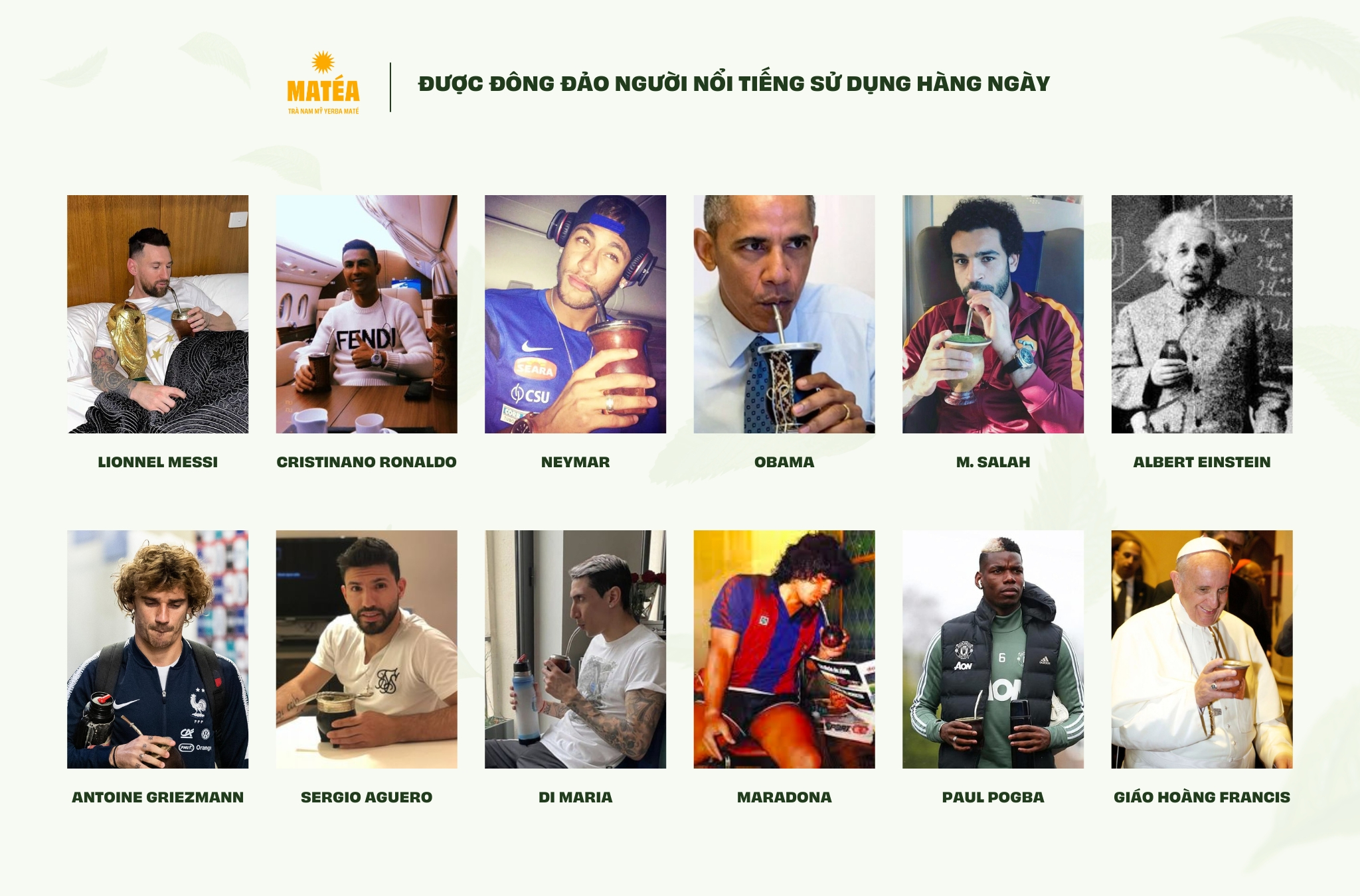 Matéa - Trà Nam Mỹ Yerba Maté - Shopee Mall Online | Shopee Việt Nam