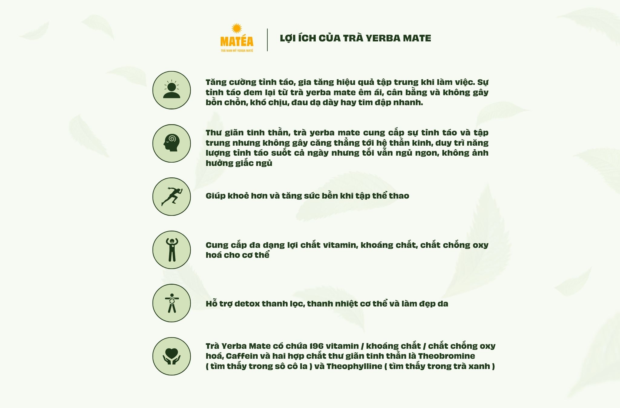 Matéa - Trà Nam Mỹ Yerba Maté - Shopee Mall Online | Shopee Việt Nam