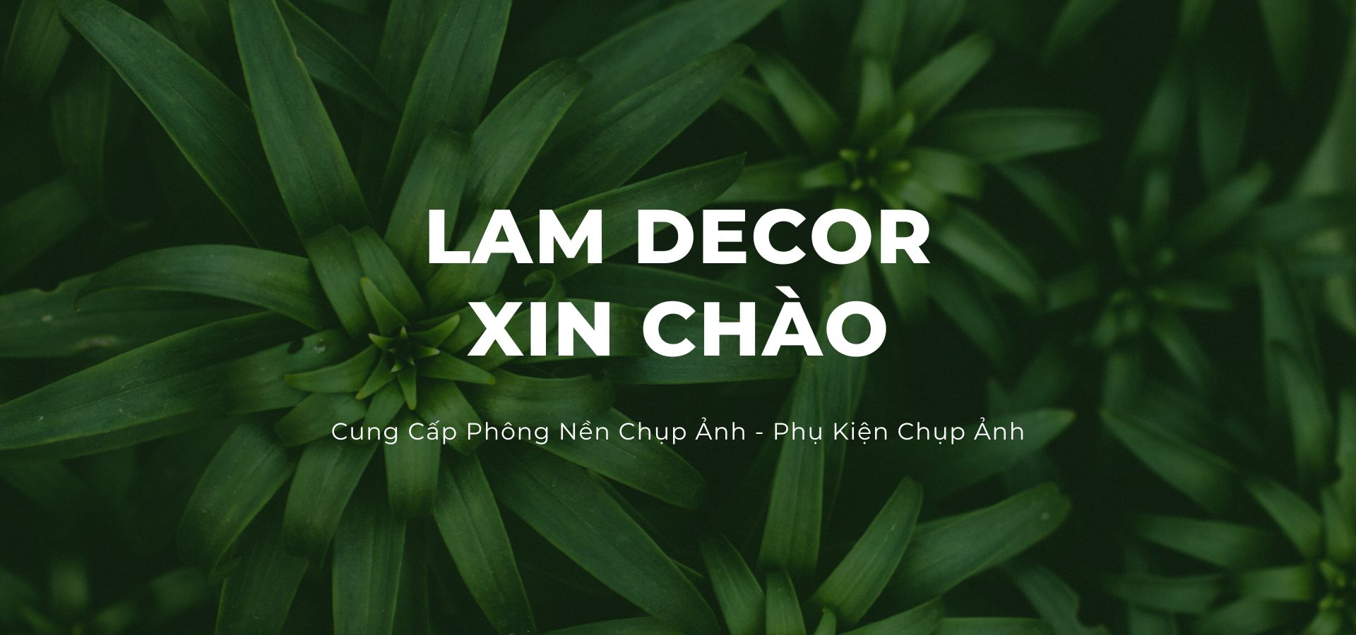 Lam Decor - Phông Nền Chụp Ảnh, Cửa hàng trực tuyến | Shopee Việt Nam