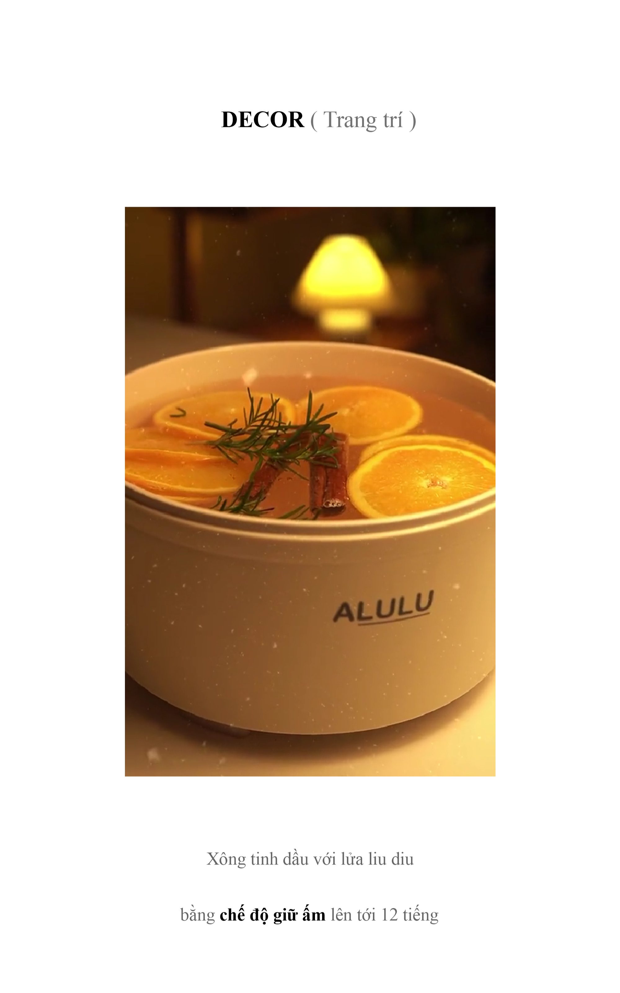 ALULU Việt Nam - Shopee Mall Online | Shopee Việt Nam