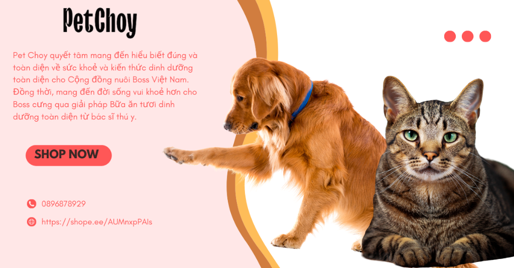 Pet Choy - Pate tươi thú cưng, Cửa hàng trực tuyến | Shopee Việt Nam