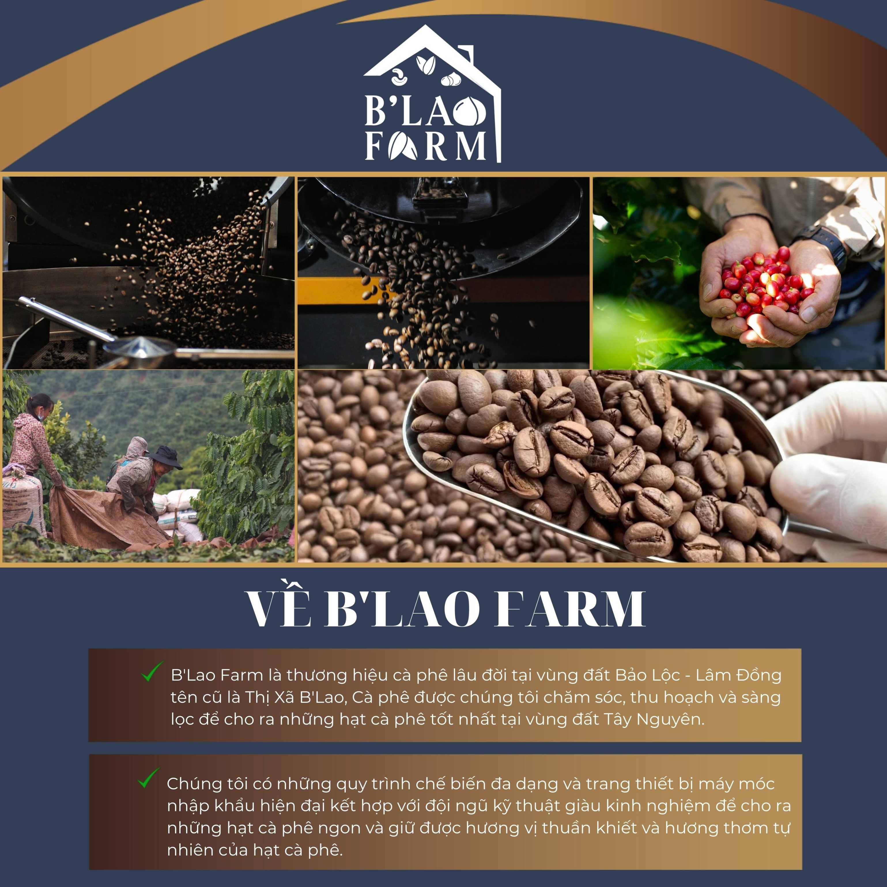 B'Lao Farm - Shopee Mall Online | Shopee Việt Nam