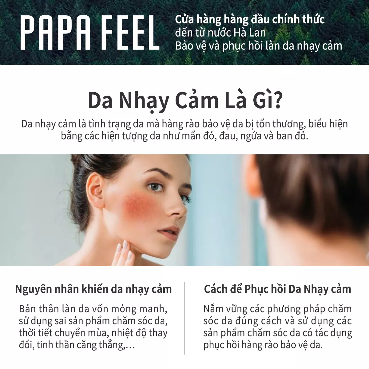 PAPA FEEL Official Store - Shopee Mall Online | Shopee Việt Nam