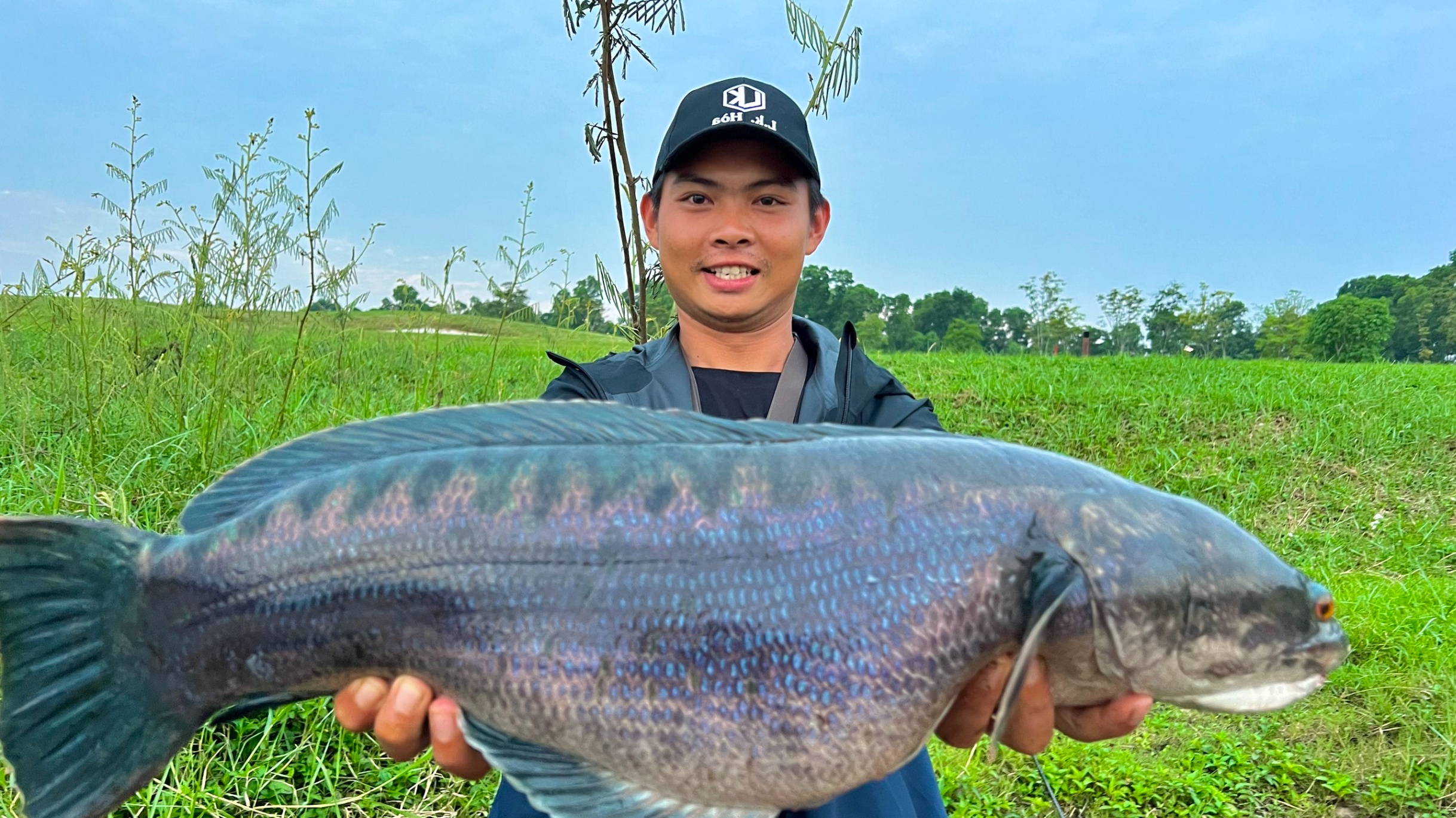 LK Hòa, Cửa hàng trực tuyến | Shopee Việt Nam