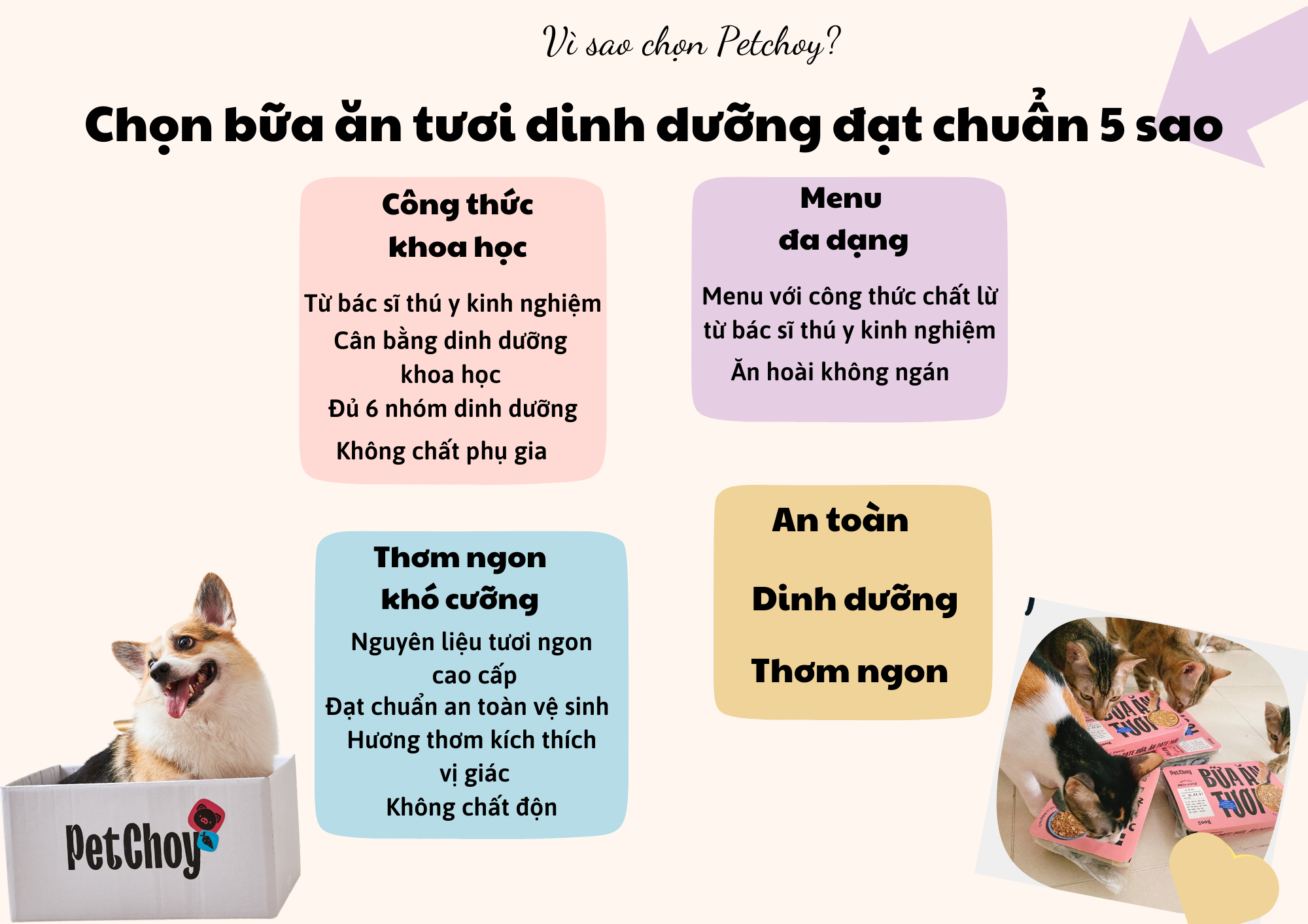 Pet Choy - Pate tươi thú cưng, Cửa hàng trực tuyến | Shopee Việt Nam