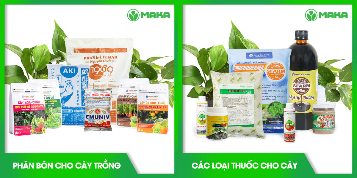 Maka Garden, Cửa hàng trực tuyến | Shopee Việt Nam