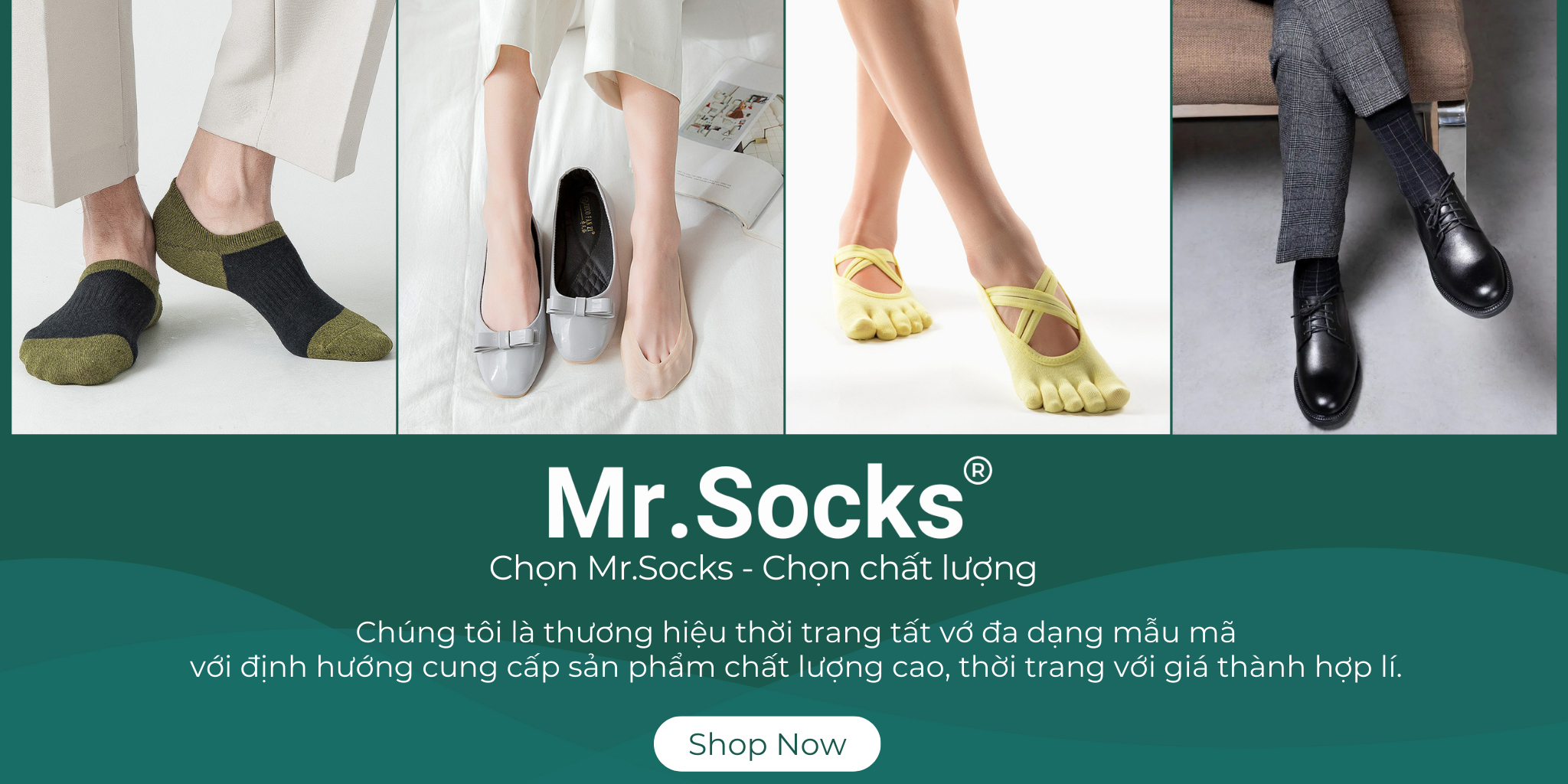 Mr.Socks Official - Shopee Mall Online | Shopee Việt Nam