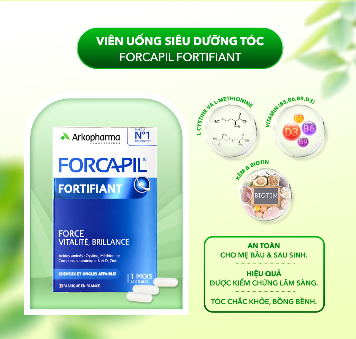 Arkopharma Official Store - Shopee Mall Online | Shopee Việt Nam