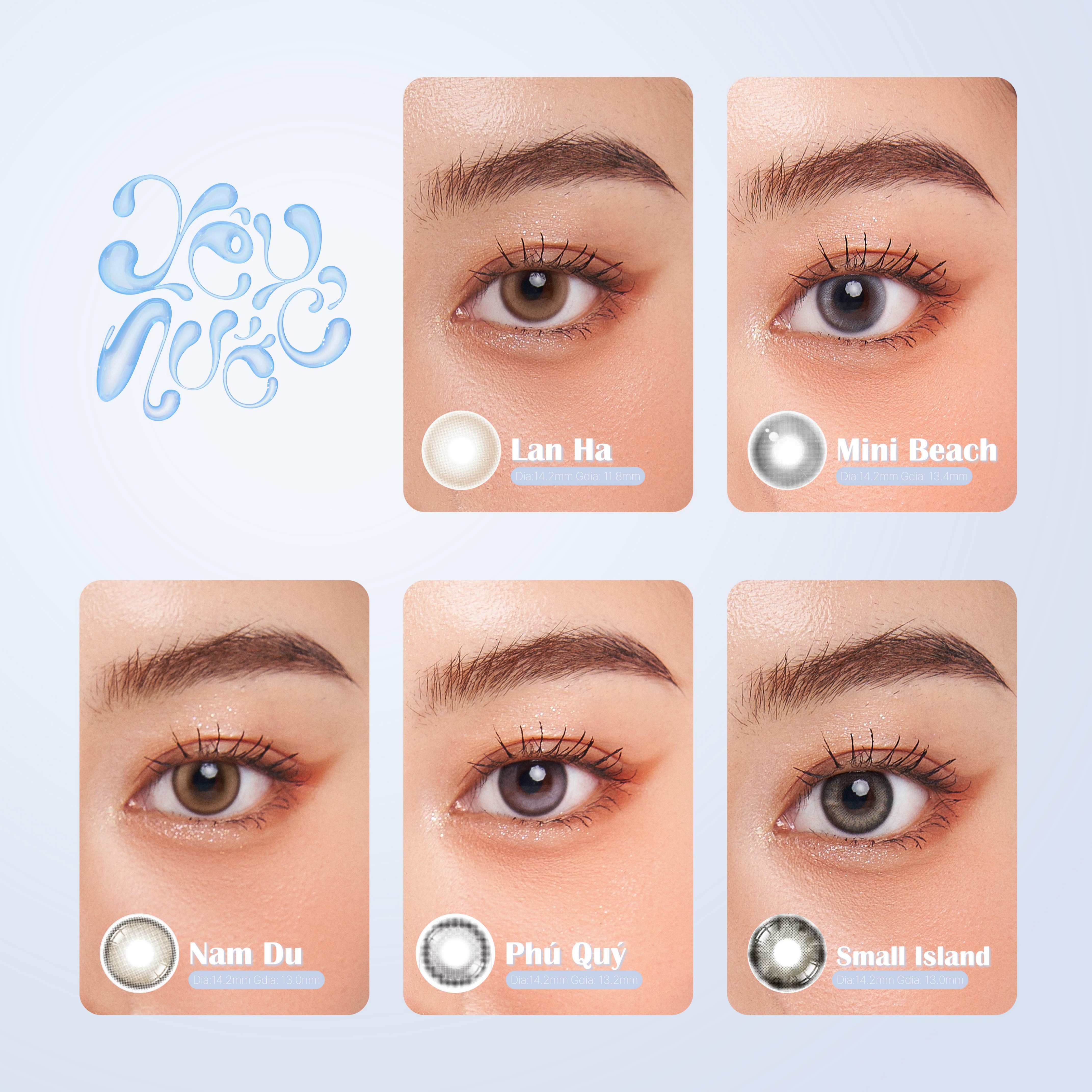 LENS DABAE - Shopee Mall Online | Shopee Việt Nam