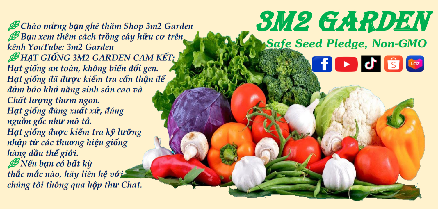 3m2 Garden, Cửa hàng trực tuyến | Shopee Việt Nam
