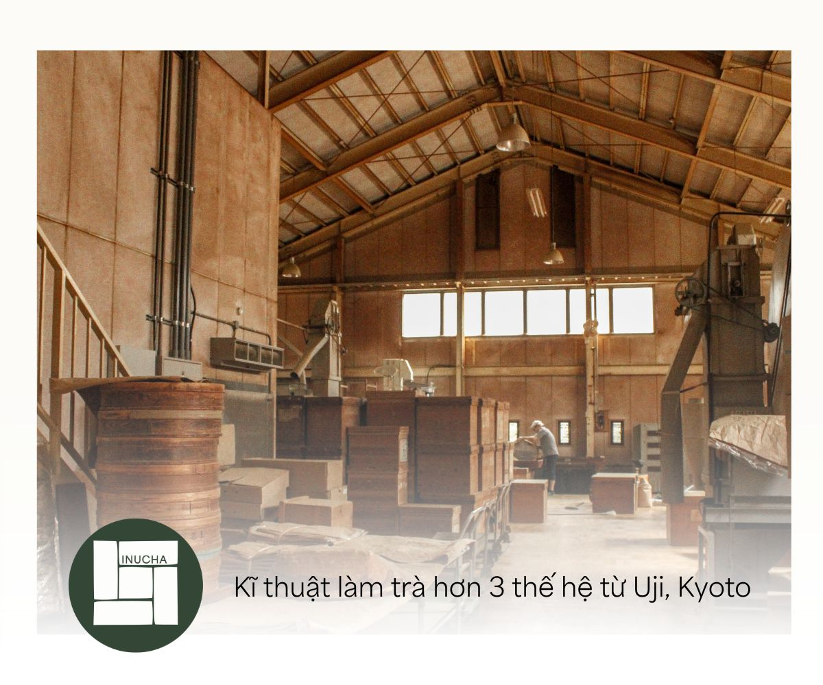 INUCHA VIỆT NAM, Cửa hàng trực tuyến | Shopee Việt Nam