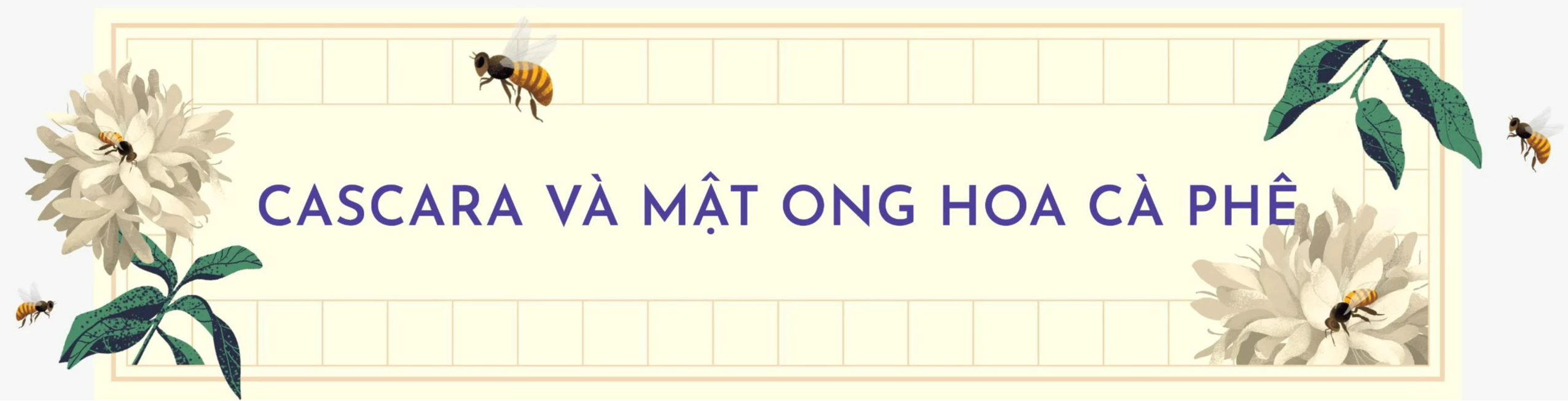 Lacàph Coffees for the curious - Shopee Mall Online | Shopee Việt Nam