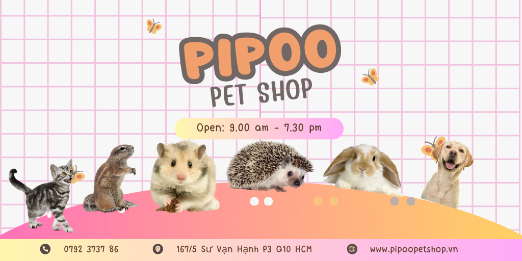 Pipoo Pet Shop, Cửa hàng trực tuyến | Shopee Việt Nam