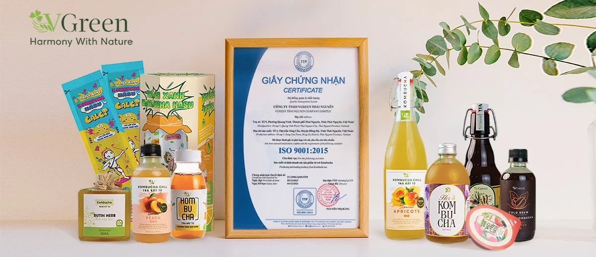 Kombucha by Vgreen - Shopee Mall Online | Shopee Việt Nam