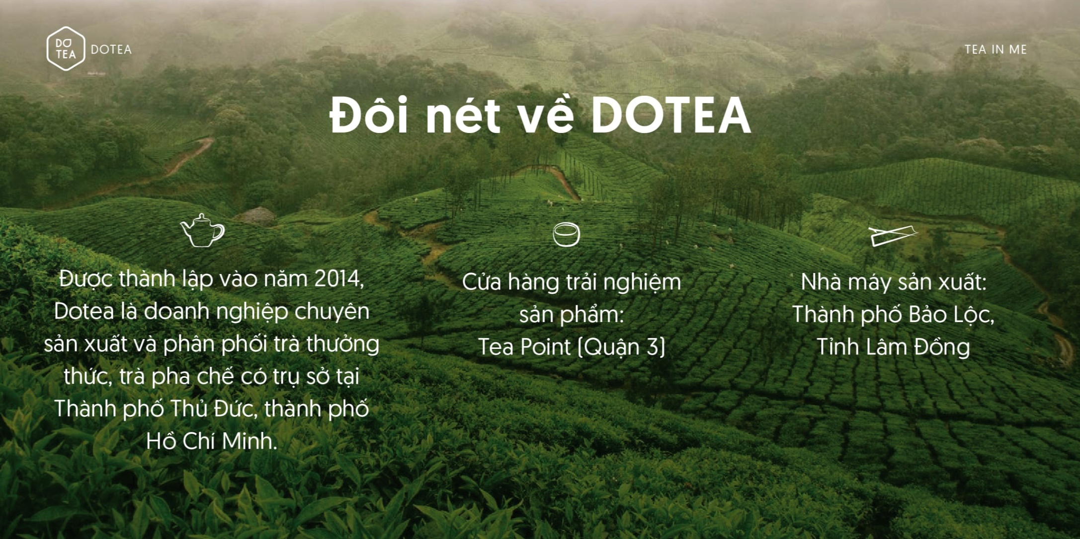 Dotea Store - Shopee Mall Online | Shopee Việt Nam