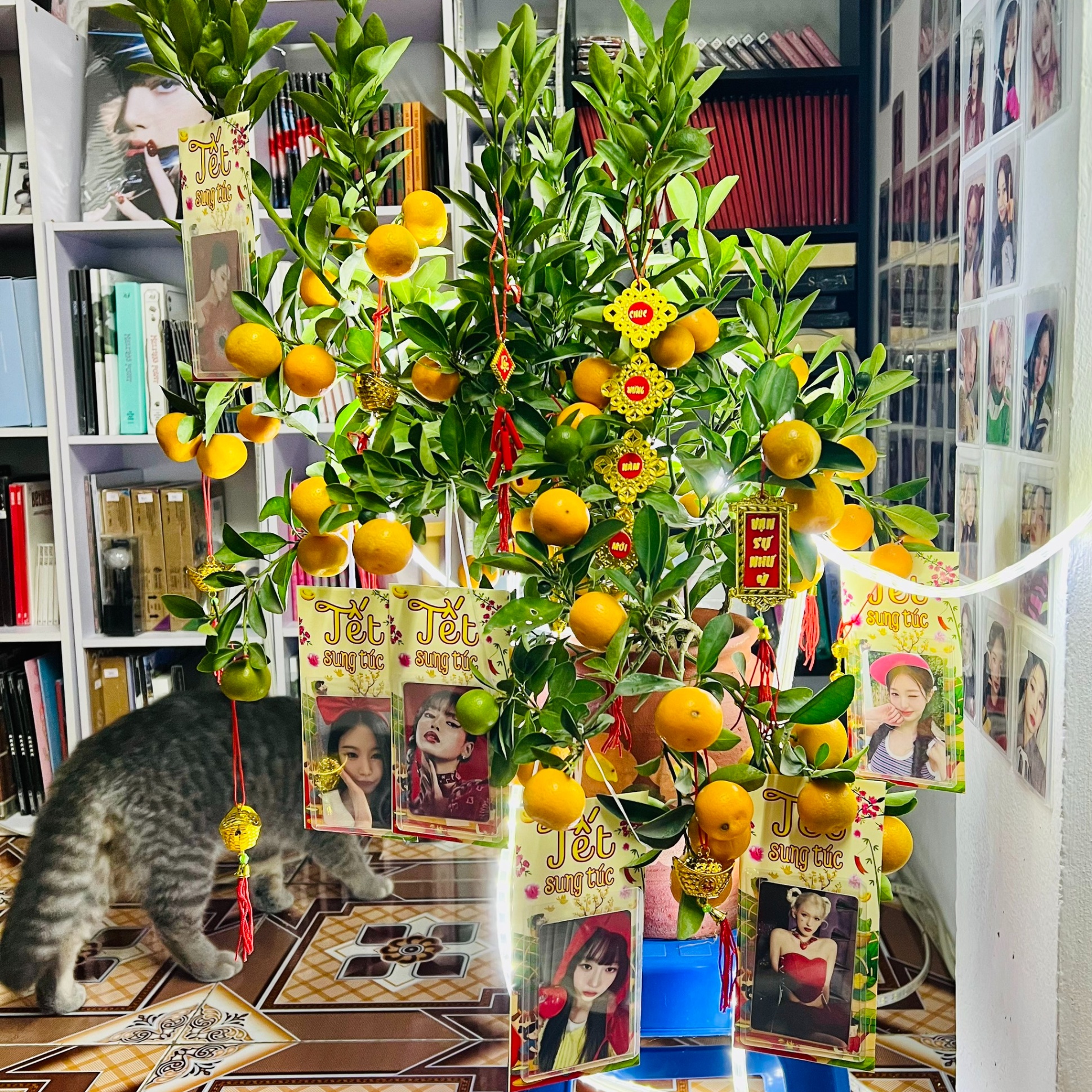 LovNie Store KPOP, Cửa hàng trực tuyến | Shopee Việt Nam