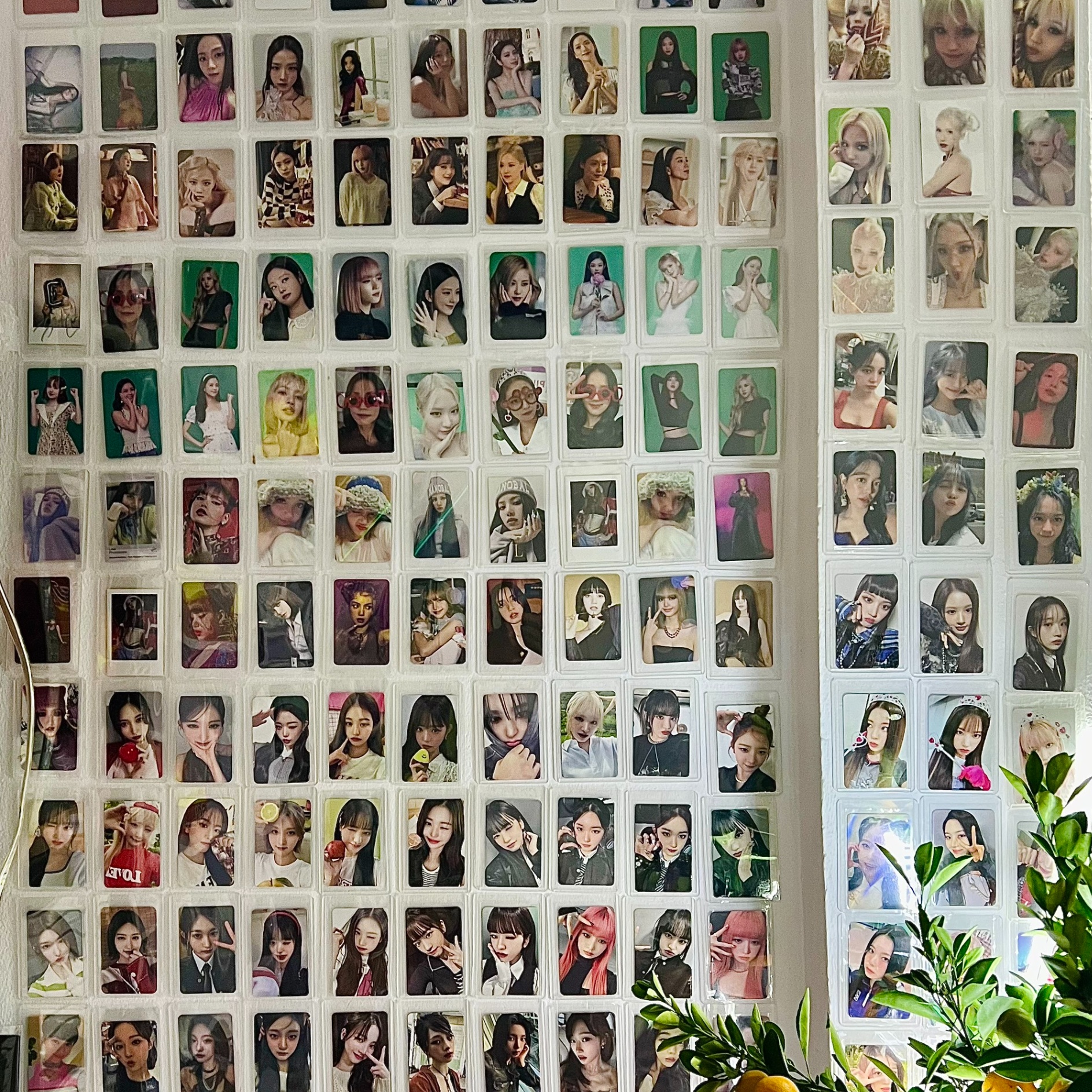 LovNie Store KPOP, Cửa hàng trực tuyến | Shopee Việt Nam