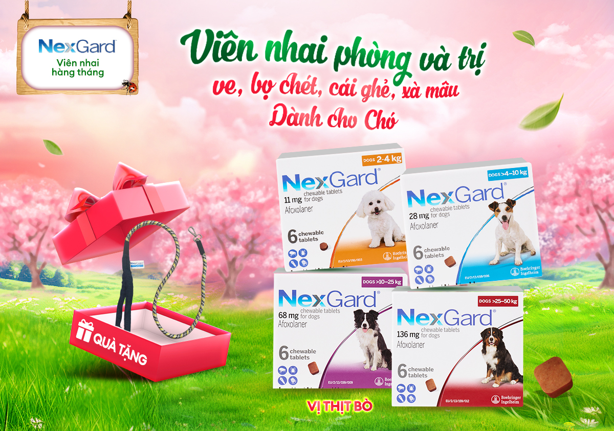 NexGard & Frontline Việt Nam - Shopee Mall Online | Shopee Việt Nam