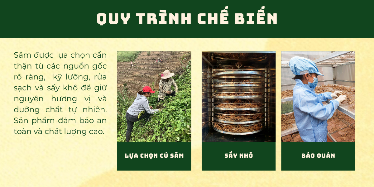 Đẳng Sâm Lâm Thịnh, Cửa hàng trực tuyến | Shopee Việt Nam