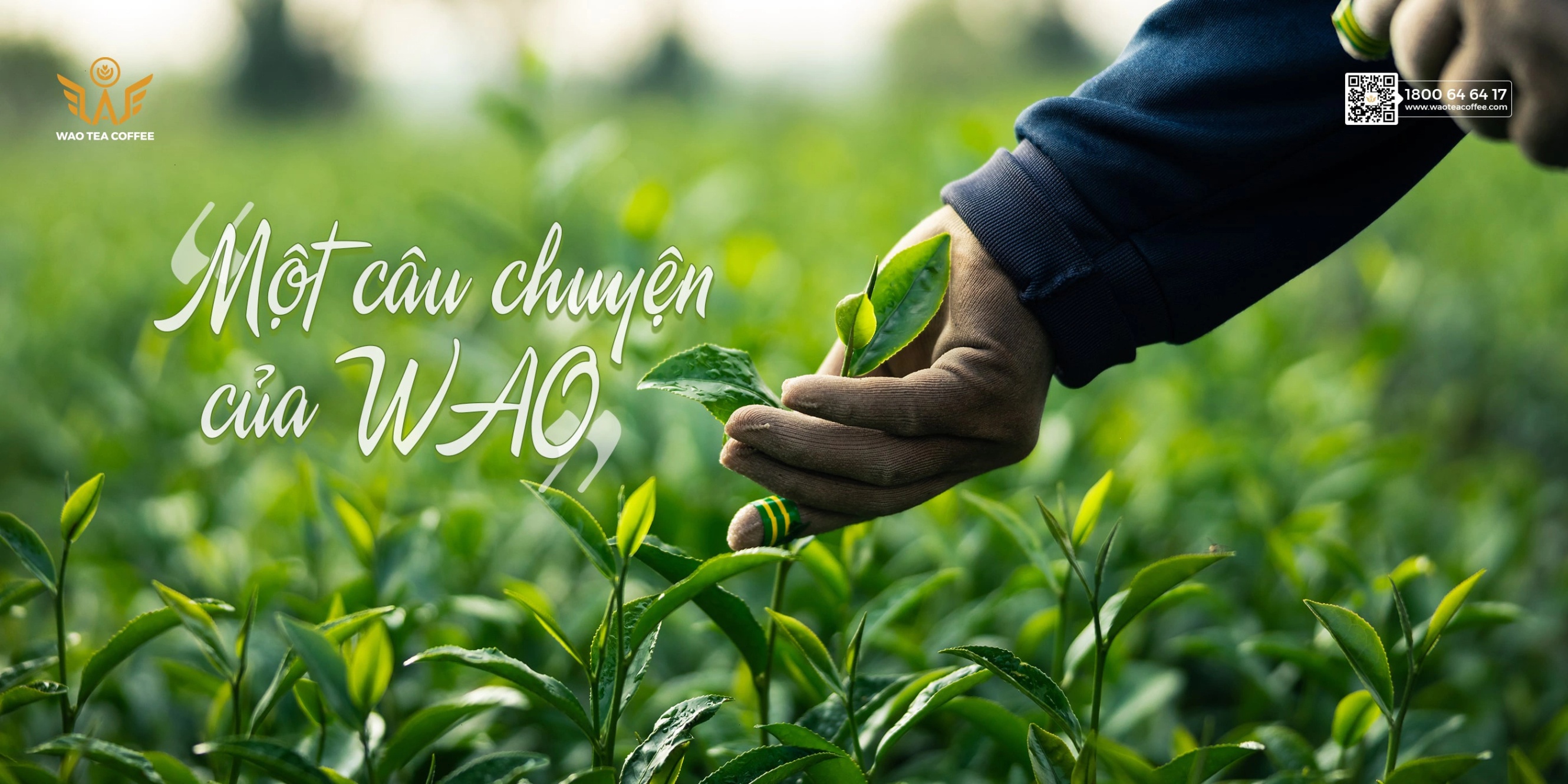 WAO Tea Coffee , Cửa hàng trực tuyến | Shopee Việt Nam