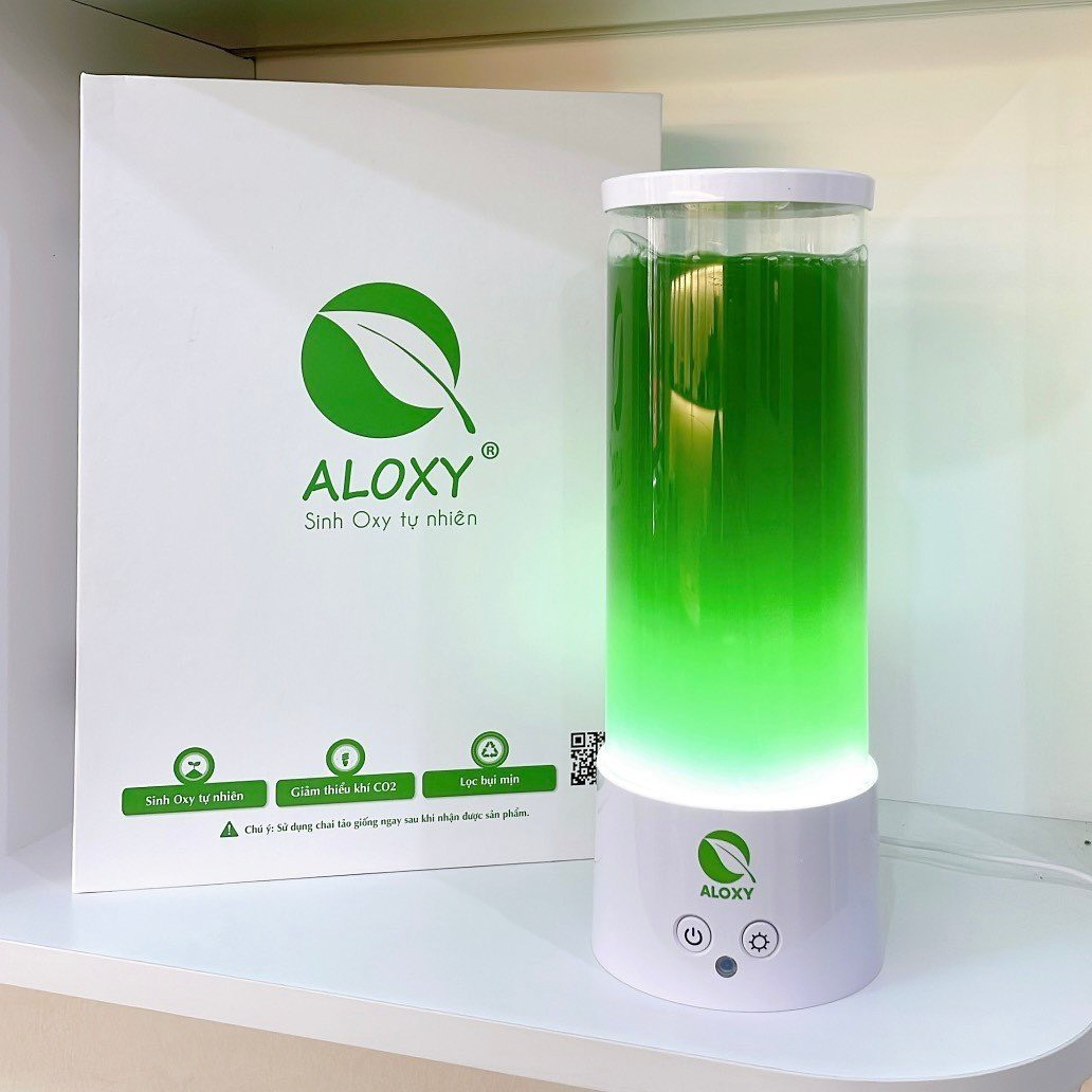 Đèn Tảo Aloxy, Cửa hàng trực tuyến | Shopee Việt Nam