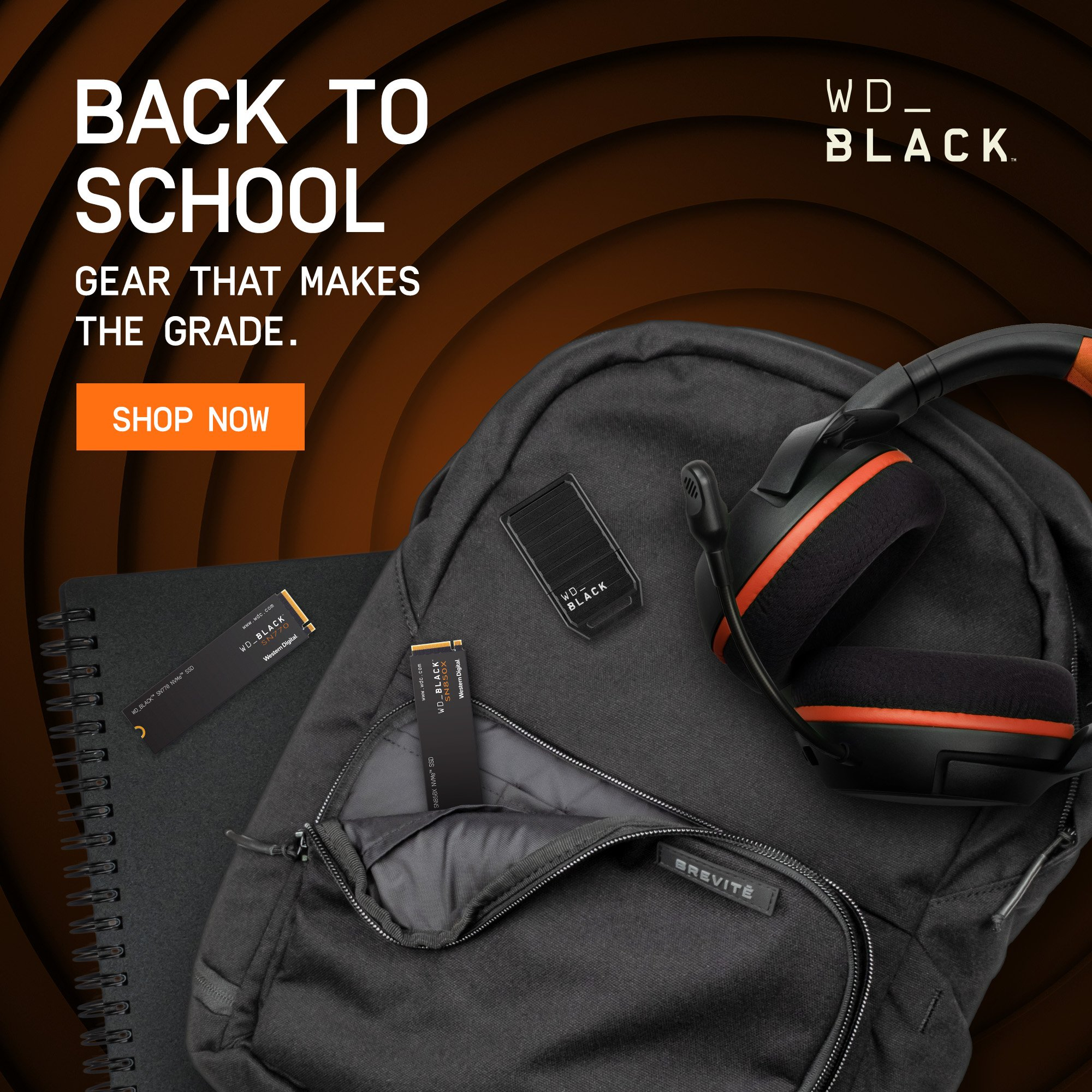 WESTERN DIGITAL OFFICIAL STORE - Shopee Mall Online | Shopee Việt Nam