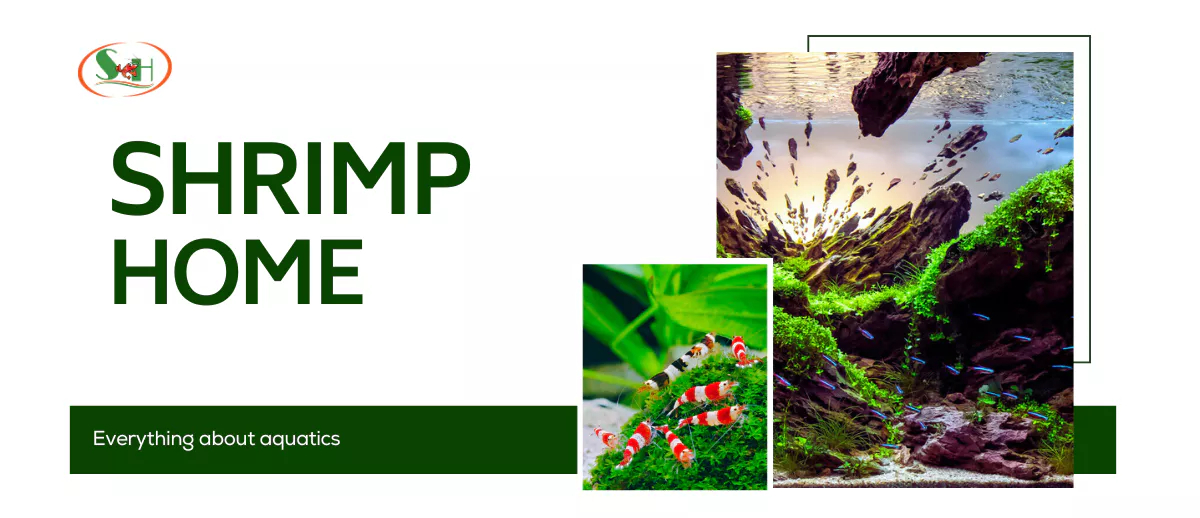 Shrimp Home Store 3, Cửa hàng trực tuyến | Shopee Việt Nam