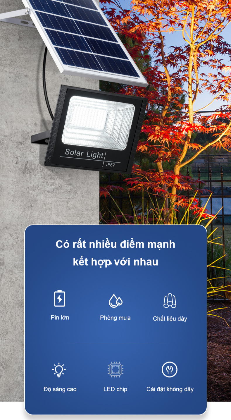 THĂNG LONG THALOCO-TLC - Shopee Mall Online | Shopee Việt Nam