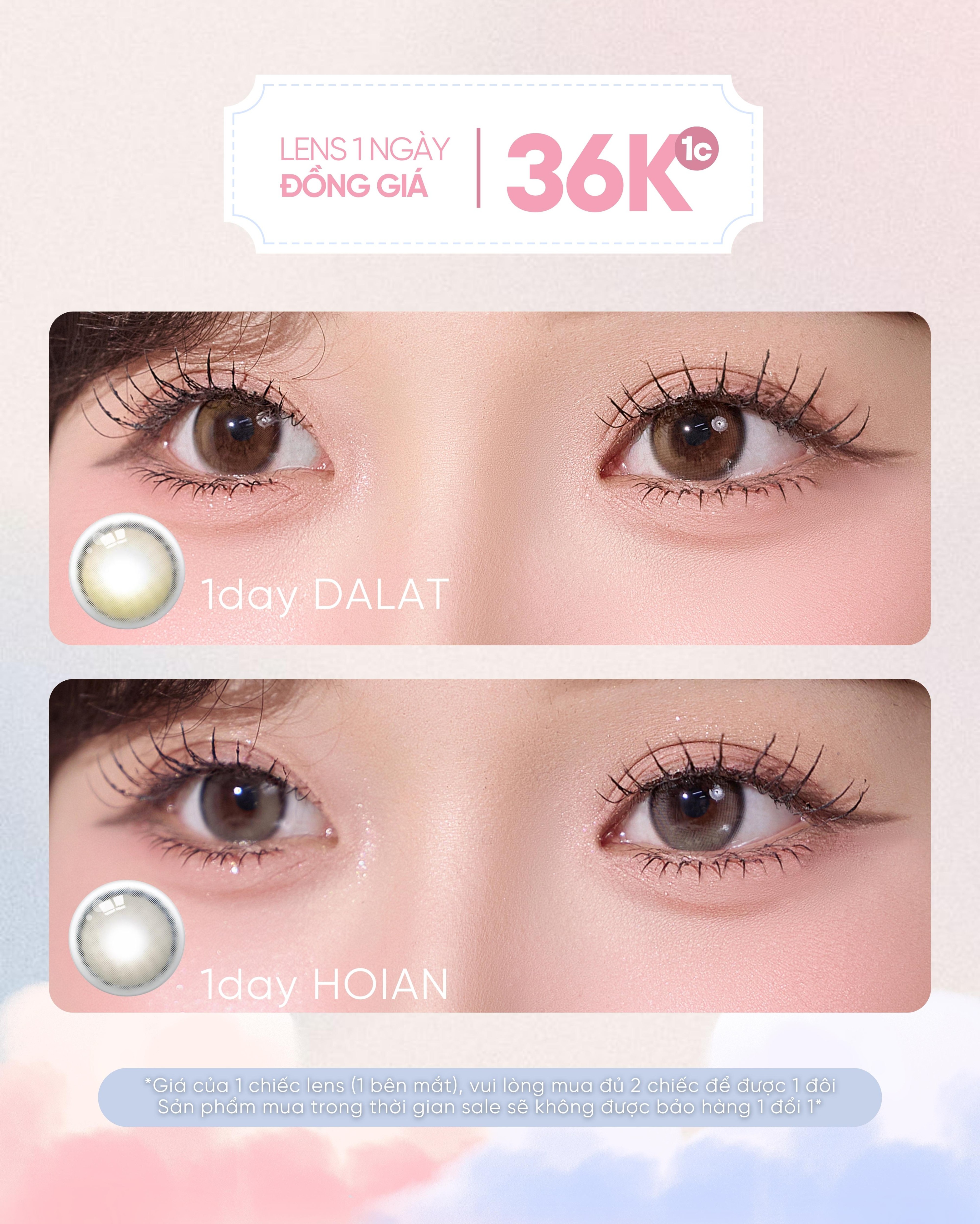 LENS DABAE - Shopee Mall Online | Shopee Việt Nam