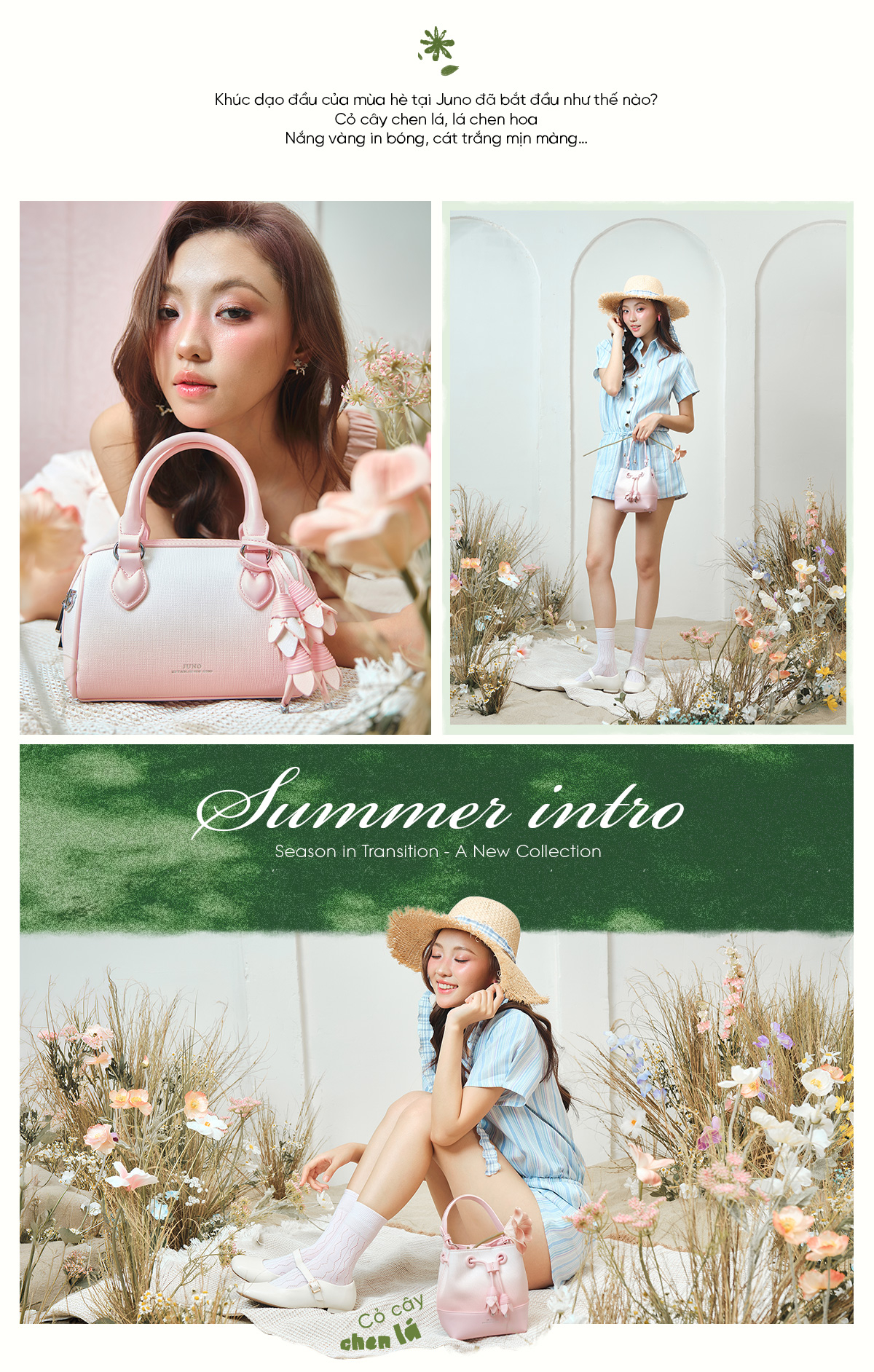 Juno Official Store - Shopee Mall Online | Shopee Việt Nam