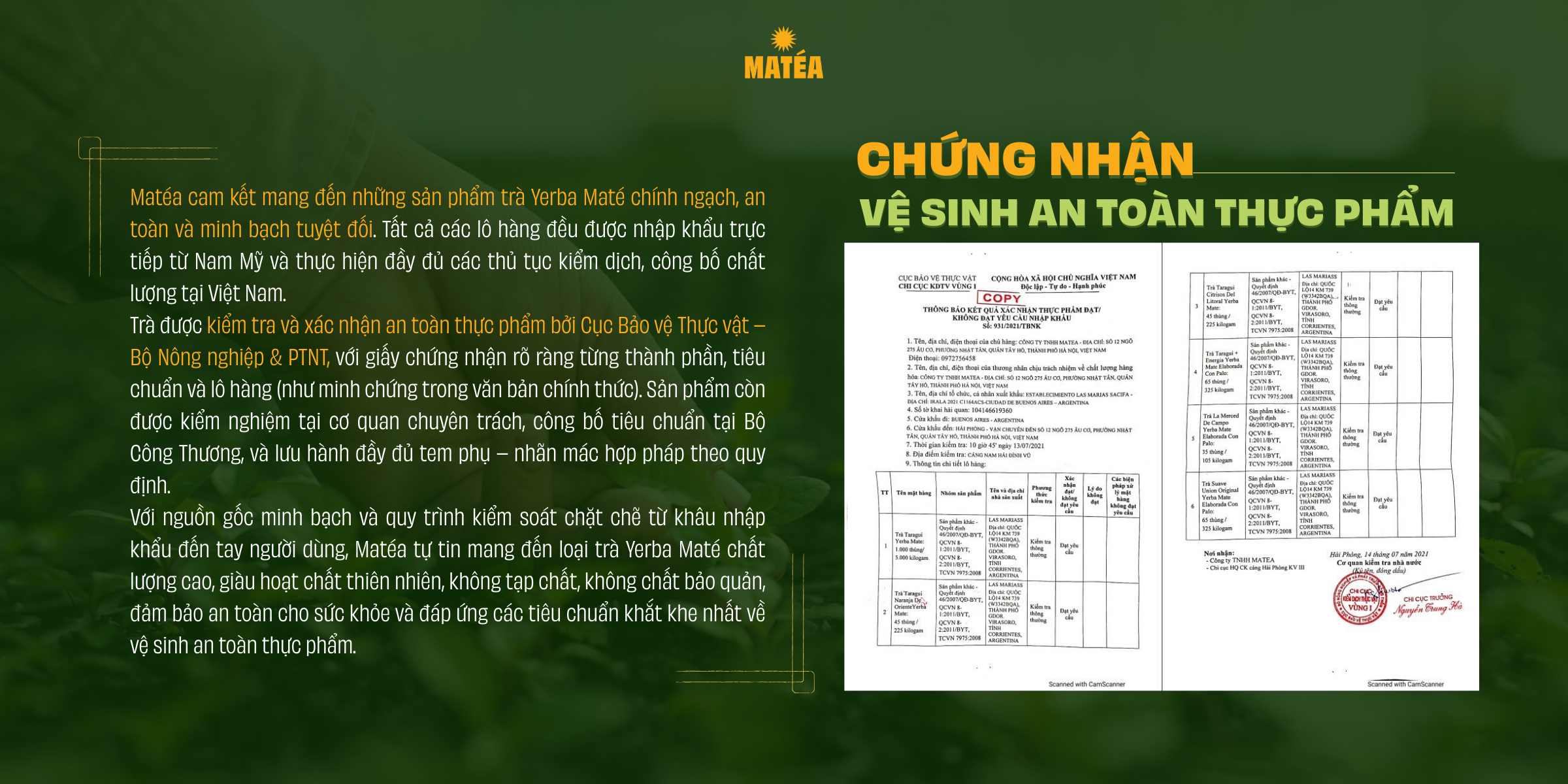 Matéa - Trà Nam Mỹ Yerba Maté - Shopee Mall Online | Shopee Việt Nam