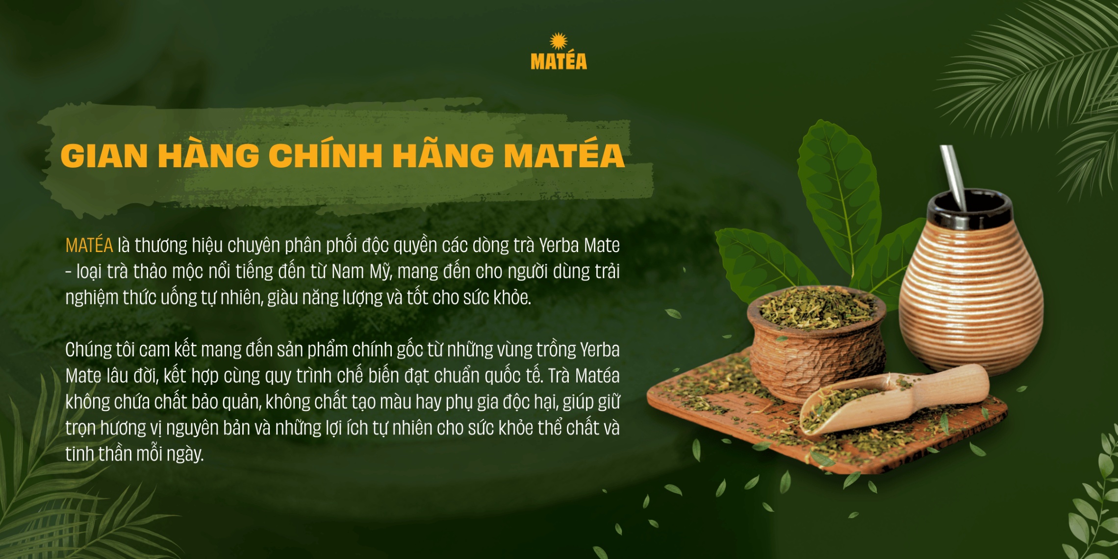 Matéa - Trà Nam Mỹ Yerba Maté - Shopee Mall Online | Shopee Việt Nam