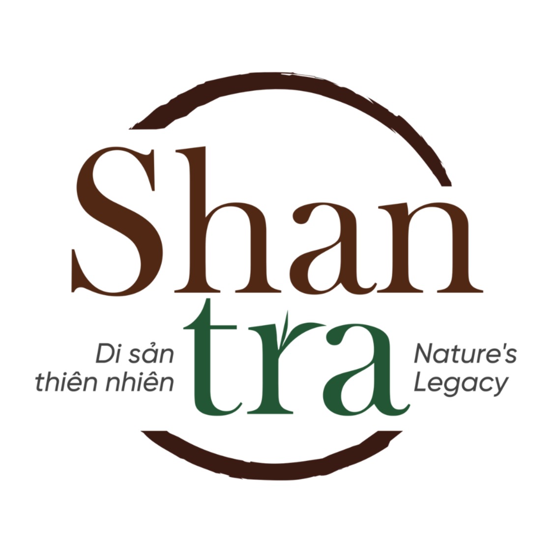 Shantra - Dòng Trà Cổ Thụ, Cửa hàng trực tuyến | Shopee Việt Nam