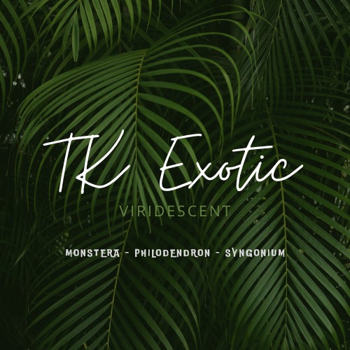 TK Exotic Viridescent, Cửa hàng trực tuyến | Shopee Việt Nam