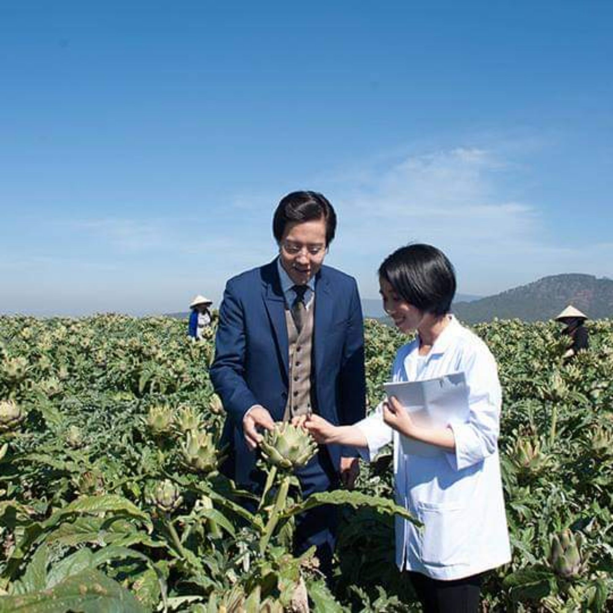 CAO TRÀ ATISO LADOPHAR ĐÀ LẠT, Cửa hàng trực tuyến | Shopee Việt Nam