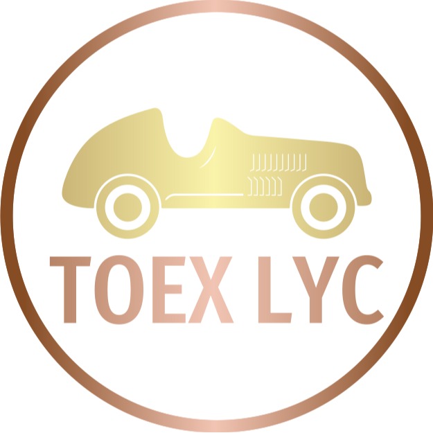 TOEX - PHỤ KIỆN XE HƠI CAO CẤP, Cửa hàng trực tuyến | Shopee Việt Nam