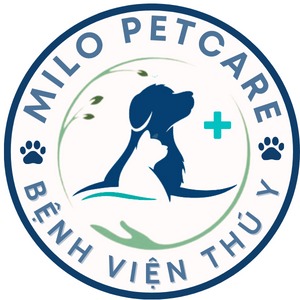 Milo Pet Shop, Cửa hàng trực tuyến | Shopee Việt Nam