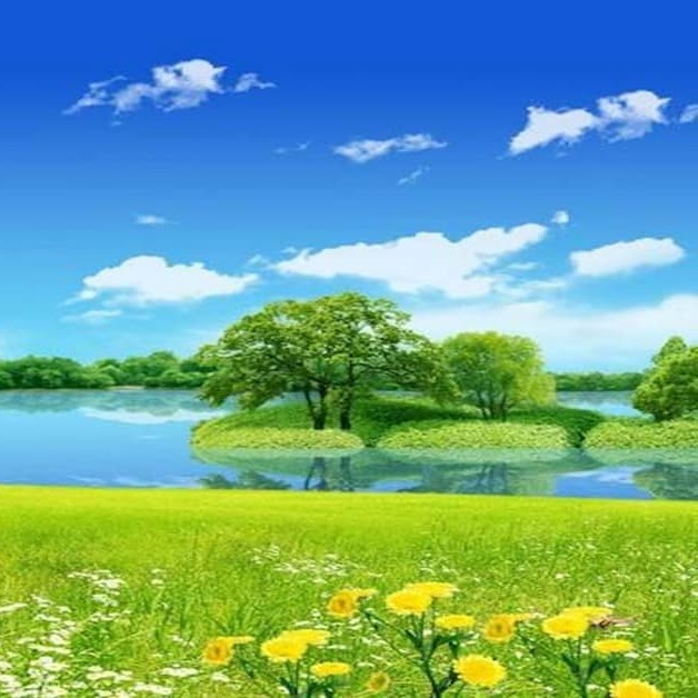 PRO CAMERA LAPTOP COMPUTER, Cửa hàng trực tuyến | Shopee Việt Nam