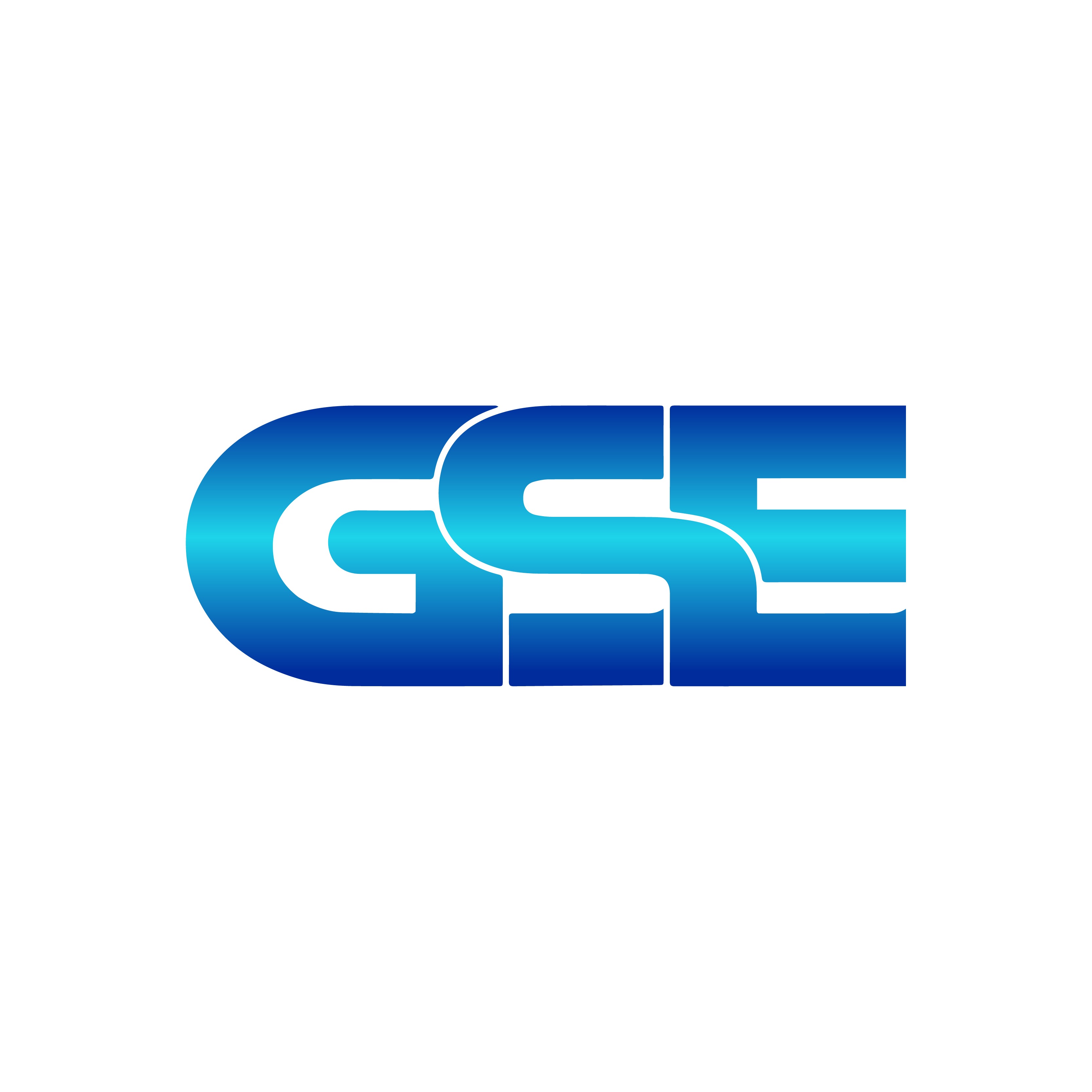 PIN XE ĐIỆN GSE, Cửa hàng trực tuyến | Shopee Việt Nam