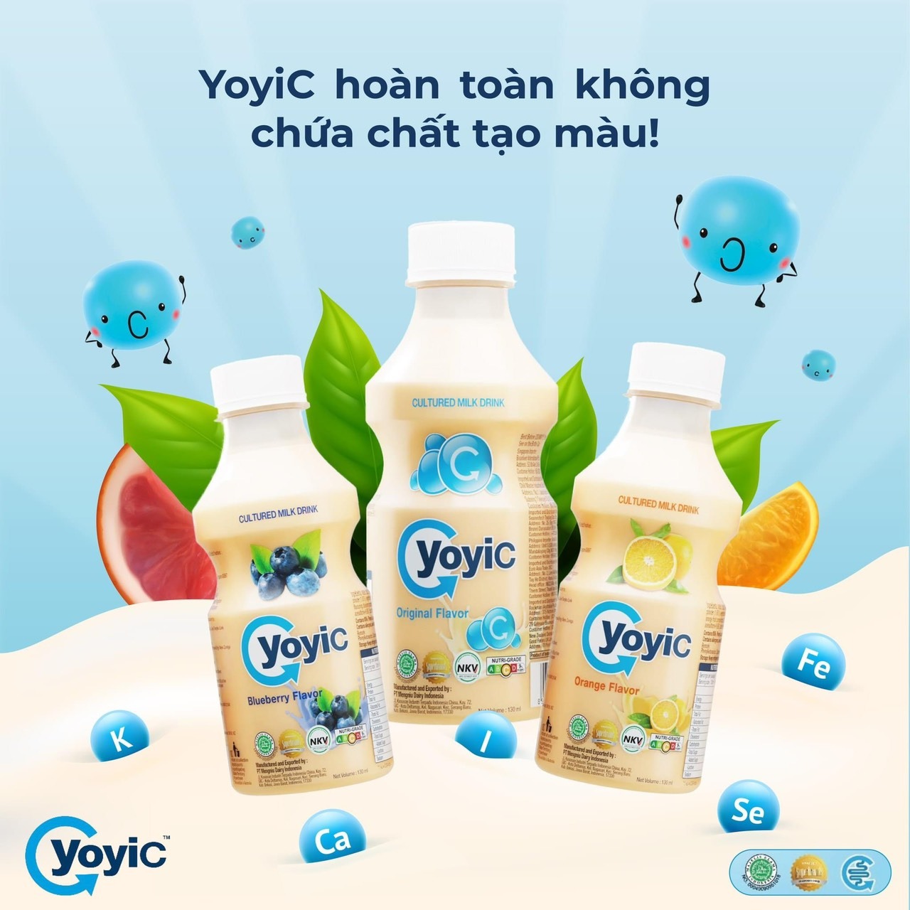 YoyiC Hà Nội, Cửa hàng trực tuyến | Shopee Việt Nam