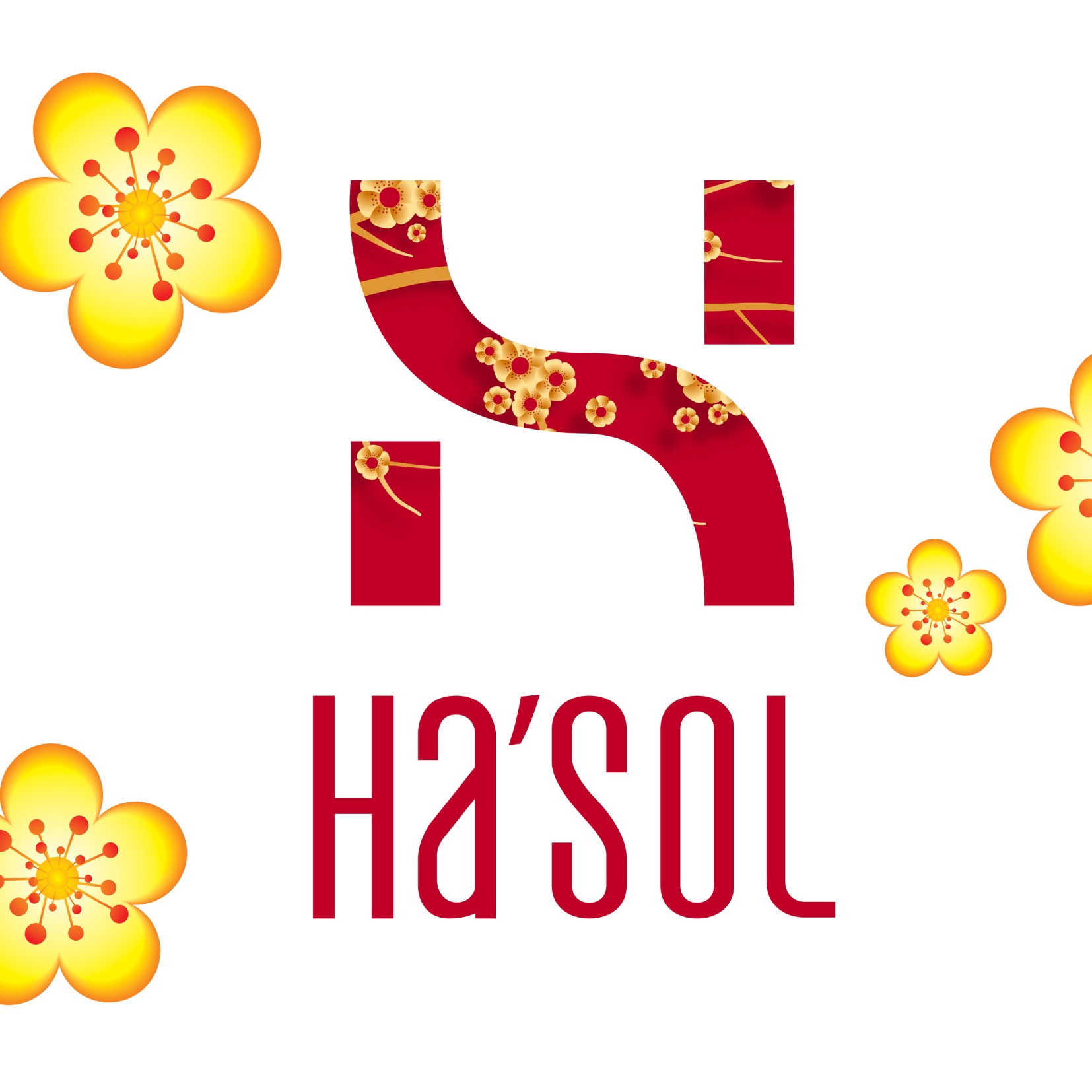 HA'SOL VIỆT NAM, Cửa hàng trực tuyến | Shopee Việt Nam