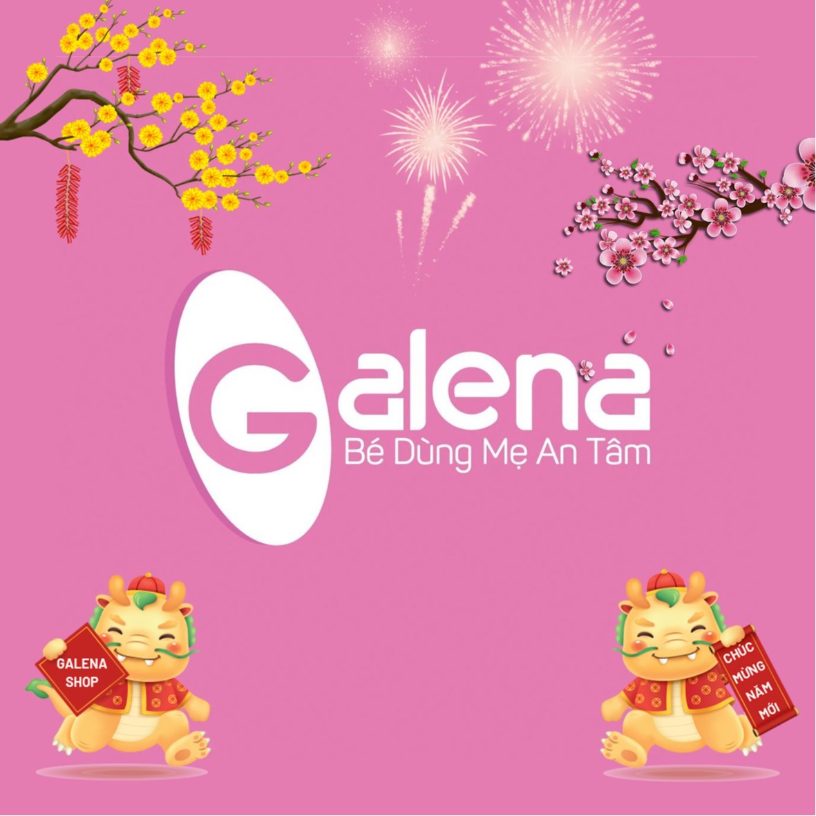 Galena Official Store - Shopee Mall Online | Shopee Việt Nam
