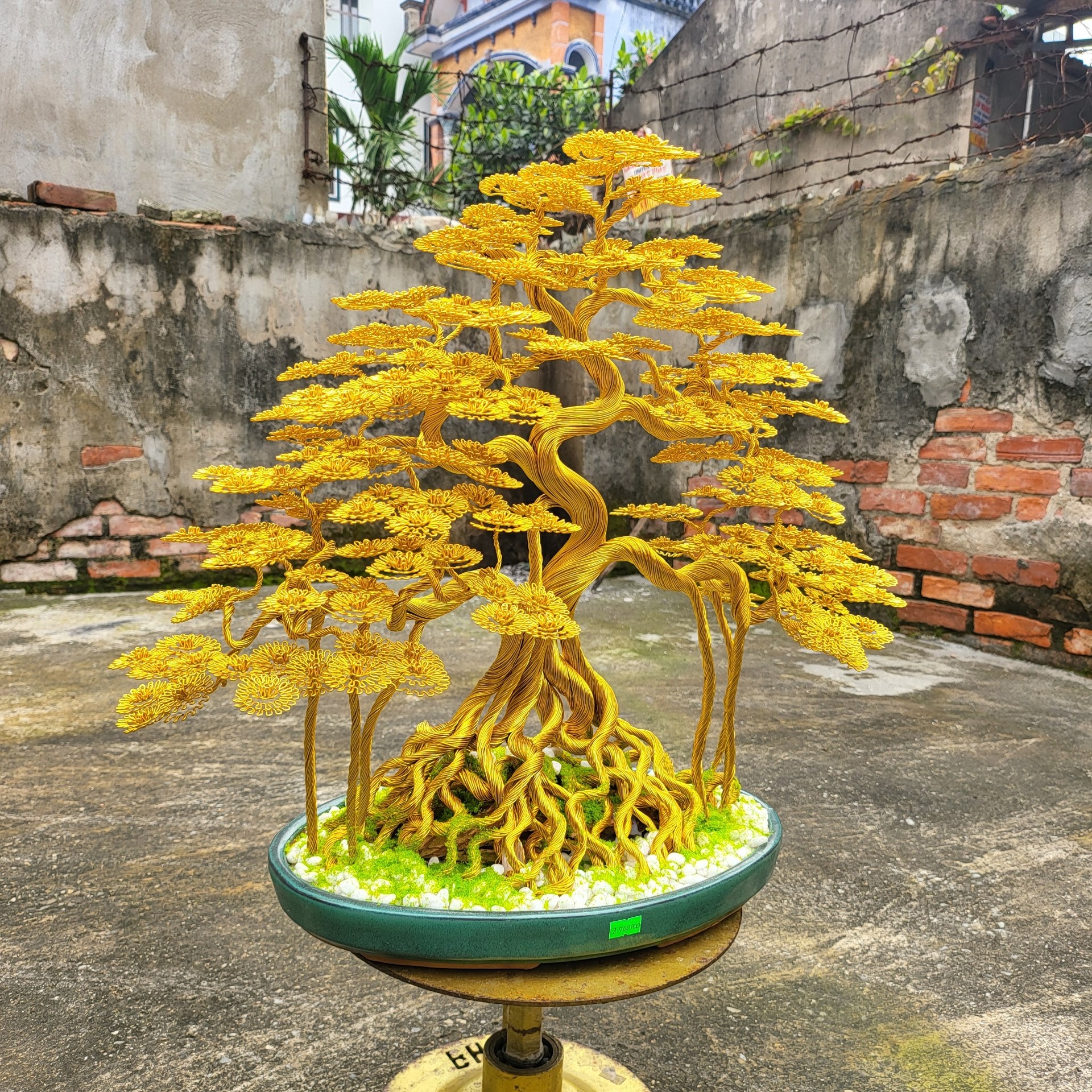Bon sai hoàng kim hưng yên, Cửa hàng trực tuyến | Shopee Việt Nam